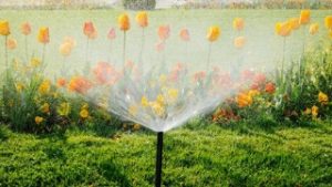 Home - Watermark Quality Irrigation